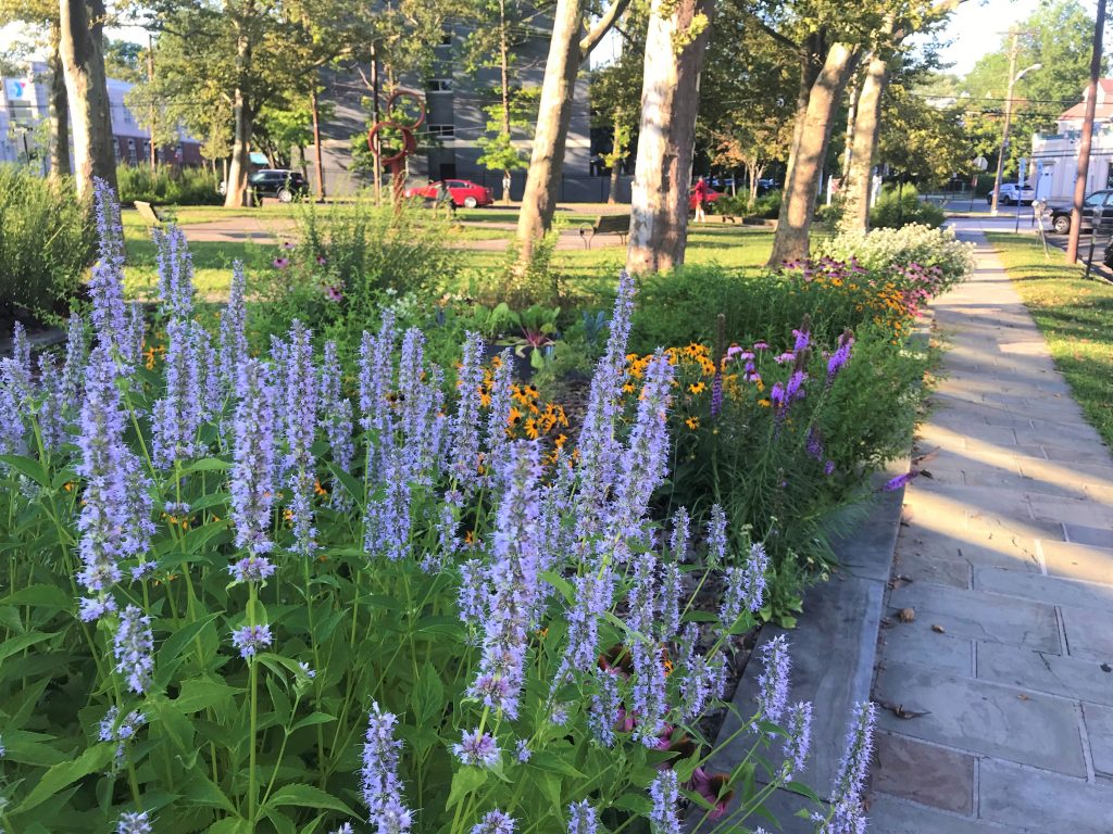 Crane Park Pollinator Garden | The Northeast Earth Coalition