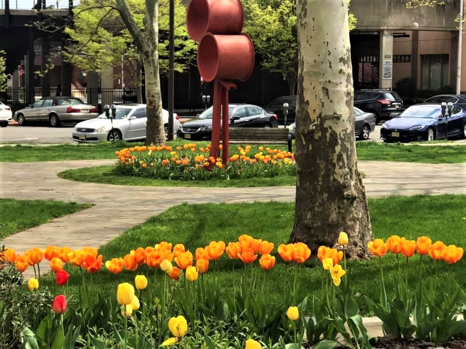 Crane Park Environmental Project | The Northeast Earth Coalition