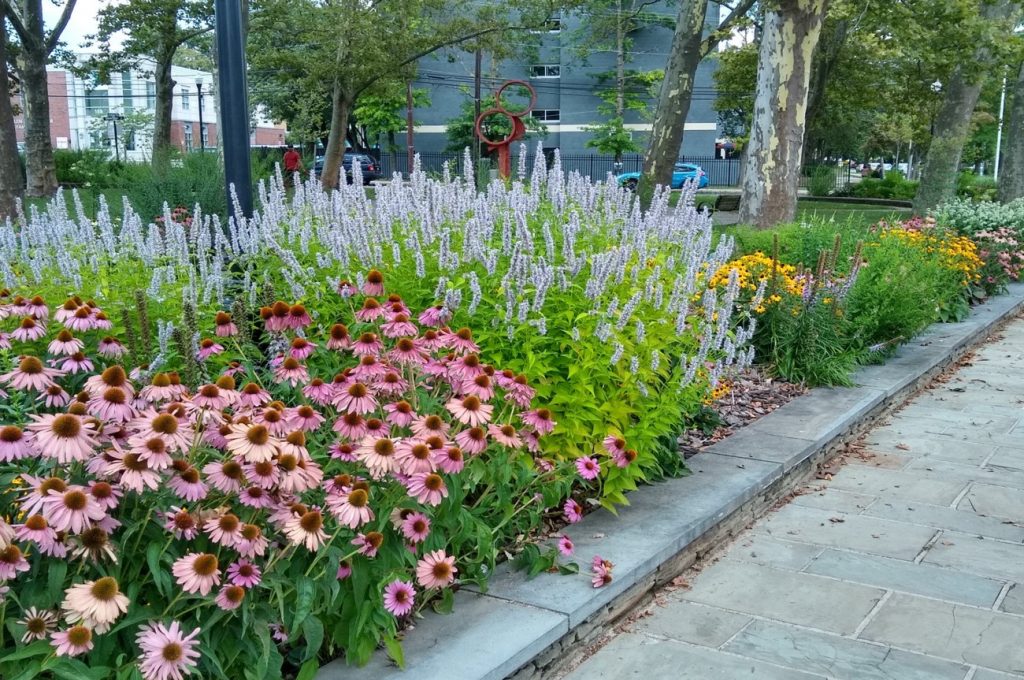 Crane Park Pollinator Garden | The Northeast Earth Coalition