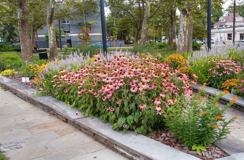 Crane Park Pollinator Garden | The Northeast Earth Coalition