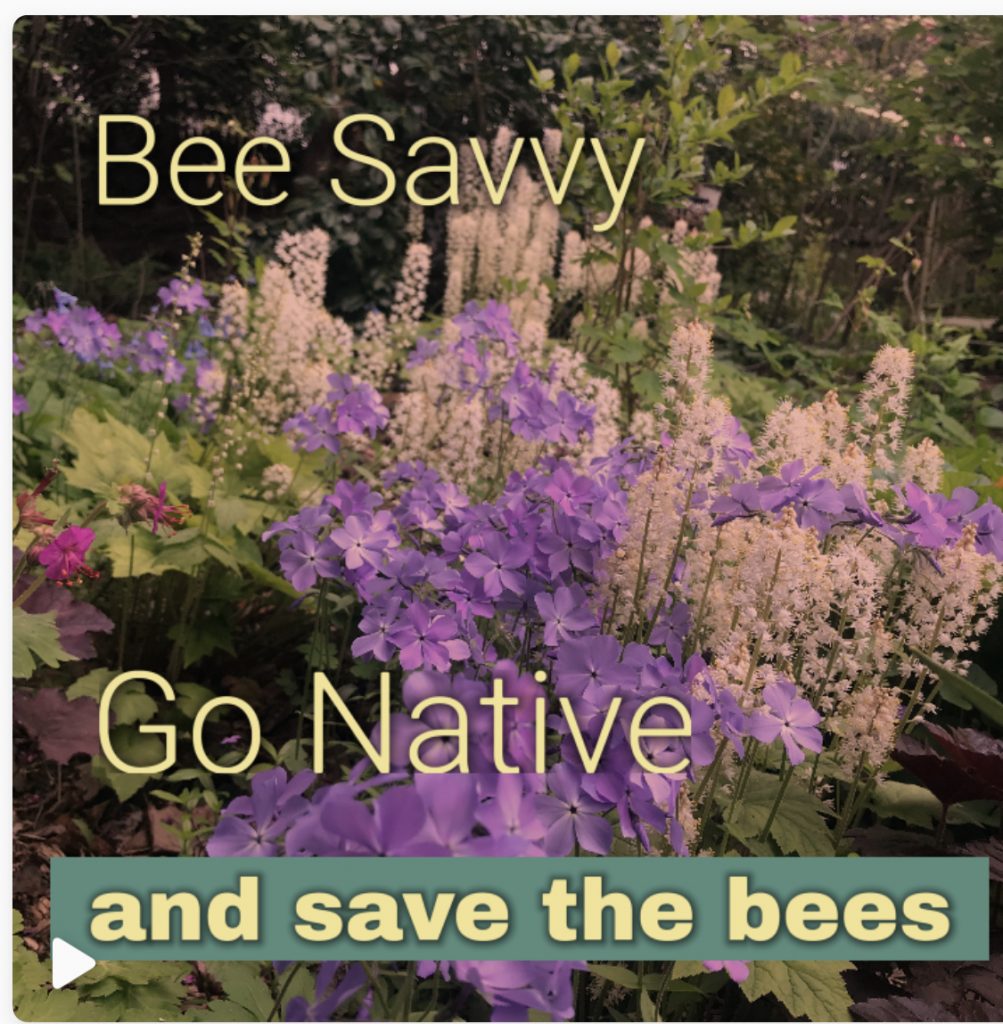 Pollinator Pathway Northeast | The Northeast Earth Coalition