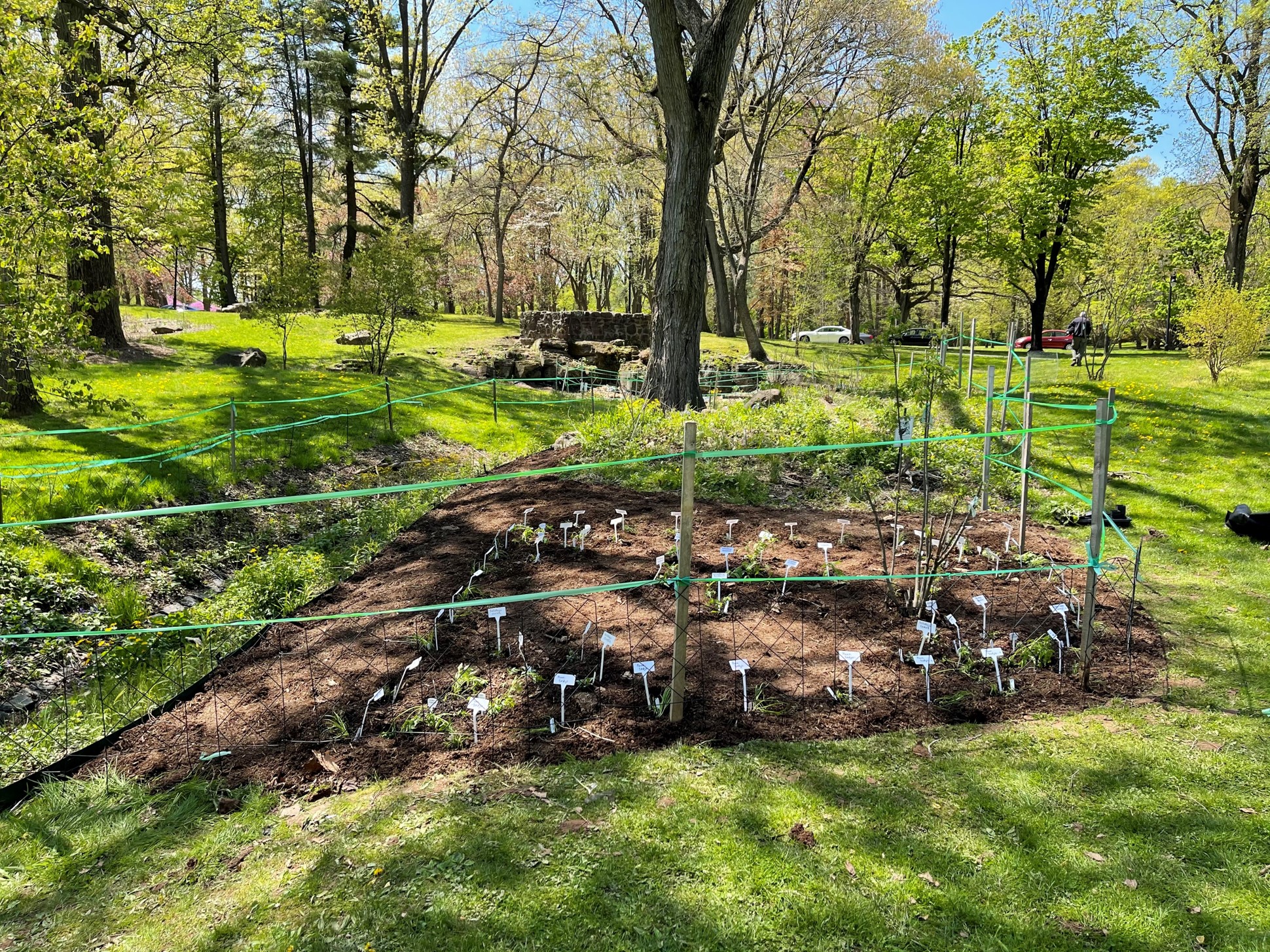 Our Programs | The Northeast Earth Coalition