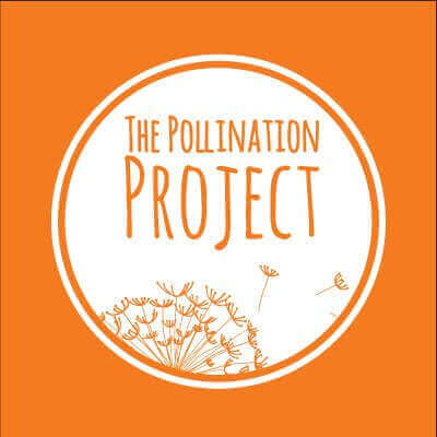 Partners And Collaborators | The Northeast Earth Coalition