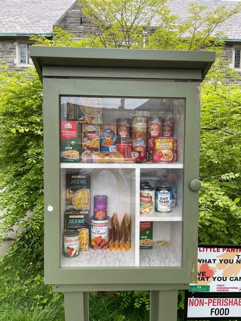 Our Programs | The Northeast Earth Coalition