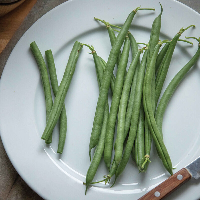 Vegetable Gardens | The Northeast Earth Coalition