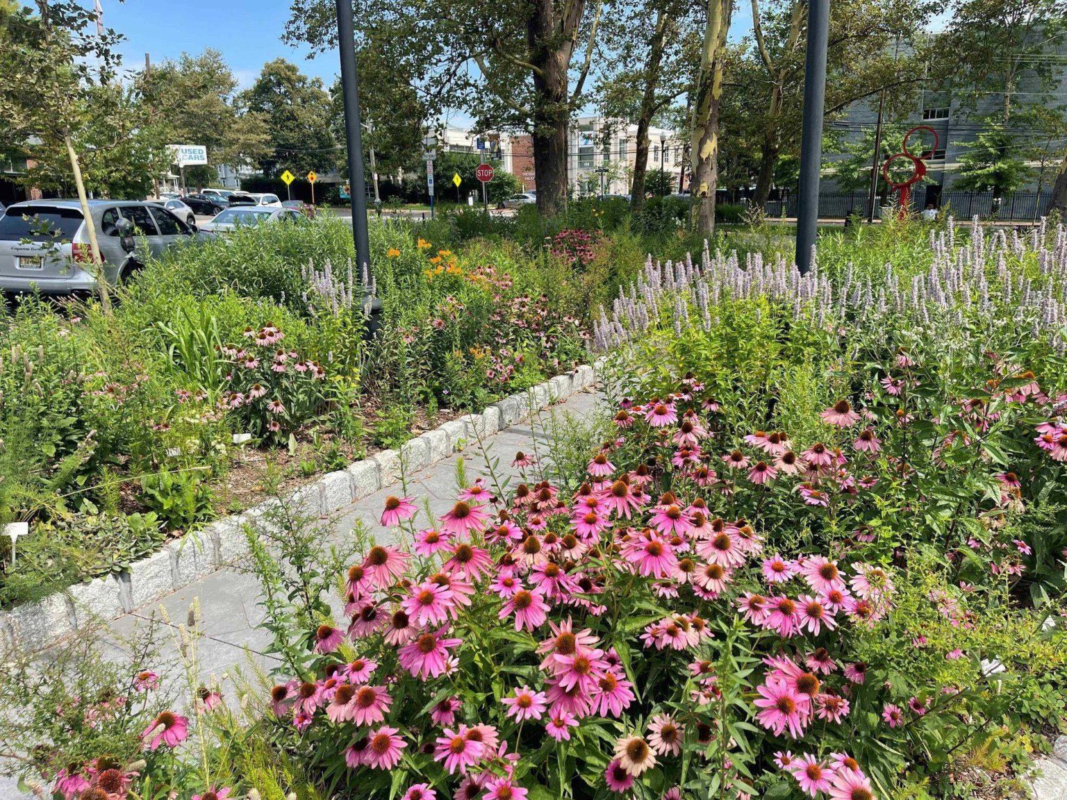 Native Plant Landscapes, Myths and Facts | The Northeast Earth Coalition