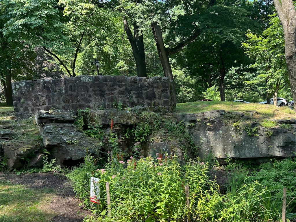 Brookdale Park Overlook Stream Native Plant Garden | The Northeast ...